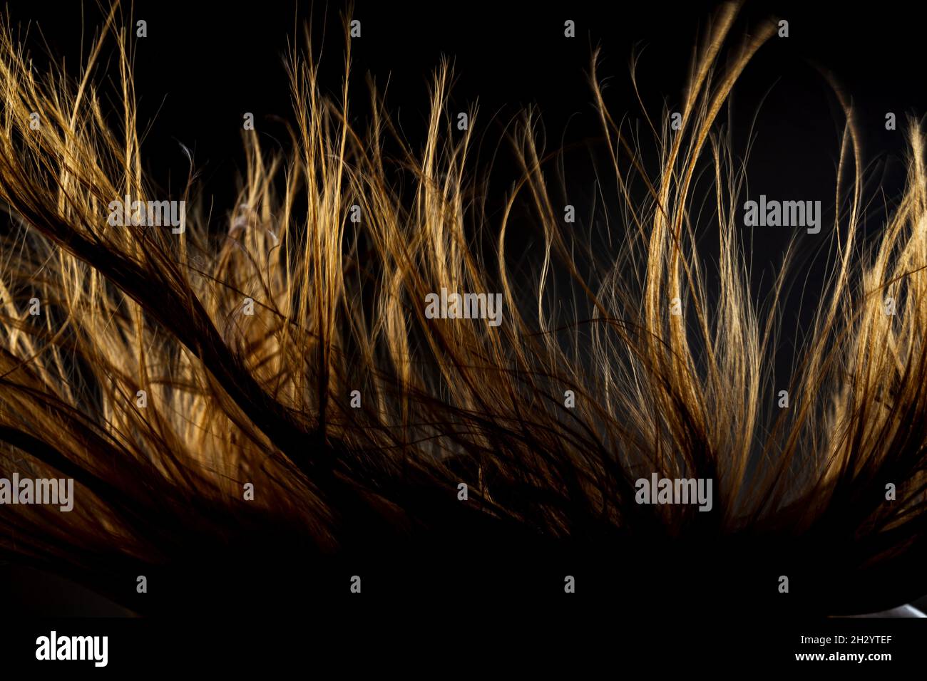 Abstract windy hair texture. Backlit silhouette on dark background ...