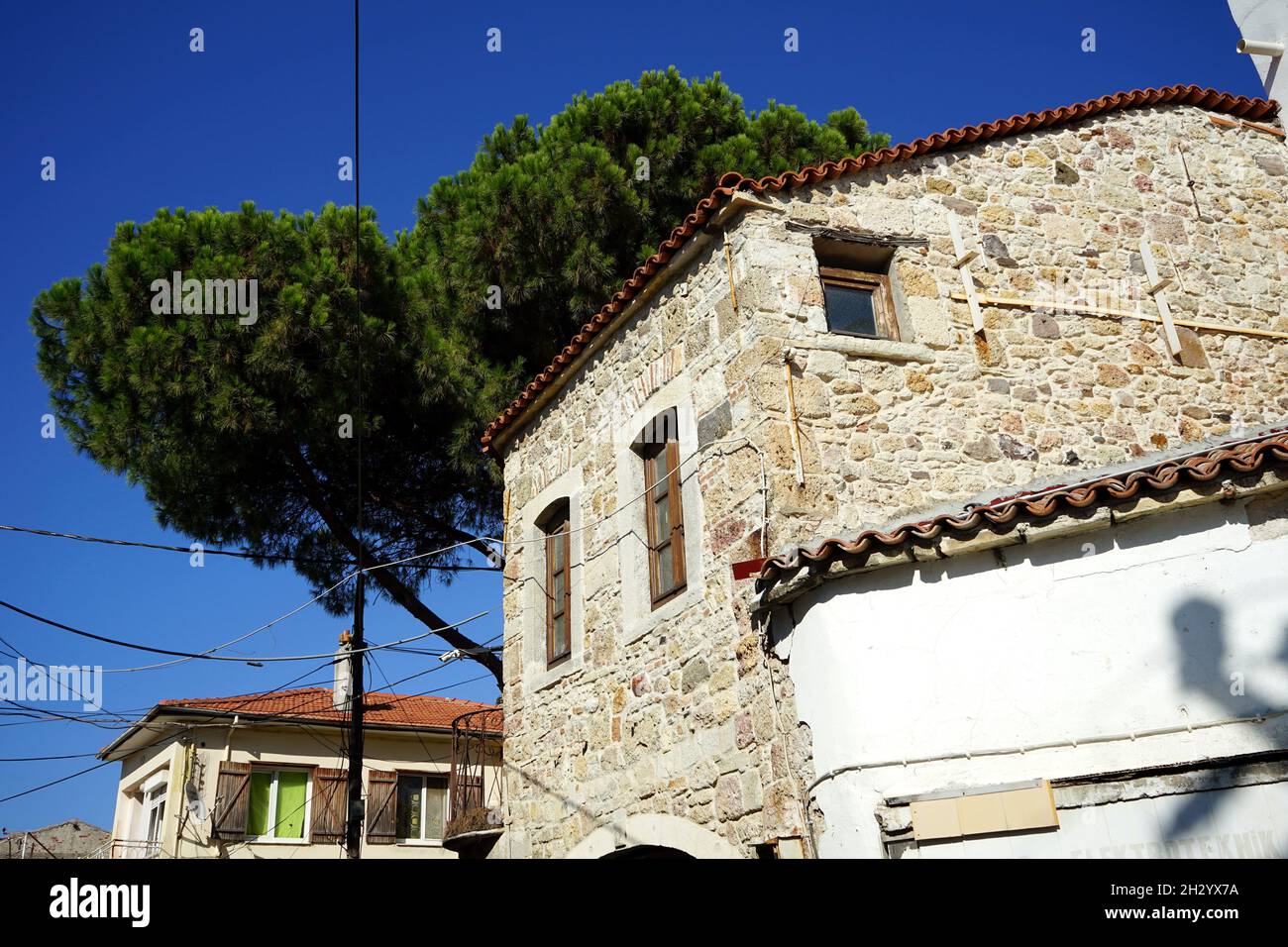 A low view of a sunny building with a stony exterior and green trees in ...