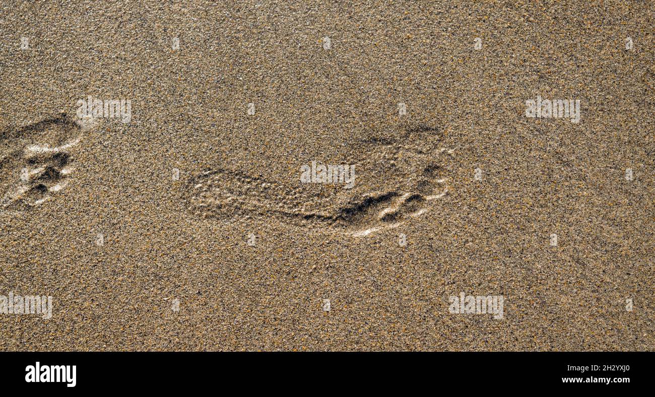 Runner footprint on beach runner hi-res stock photography and images ...
