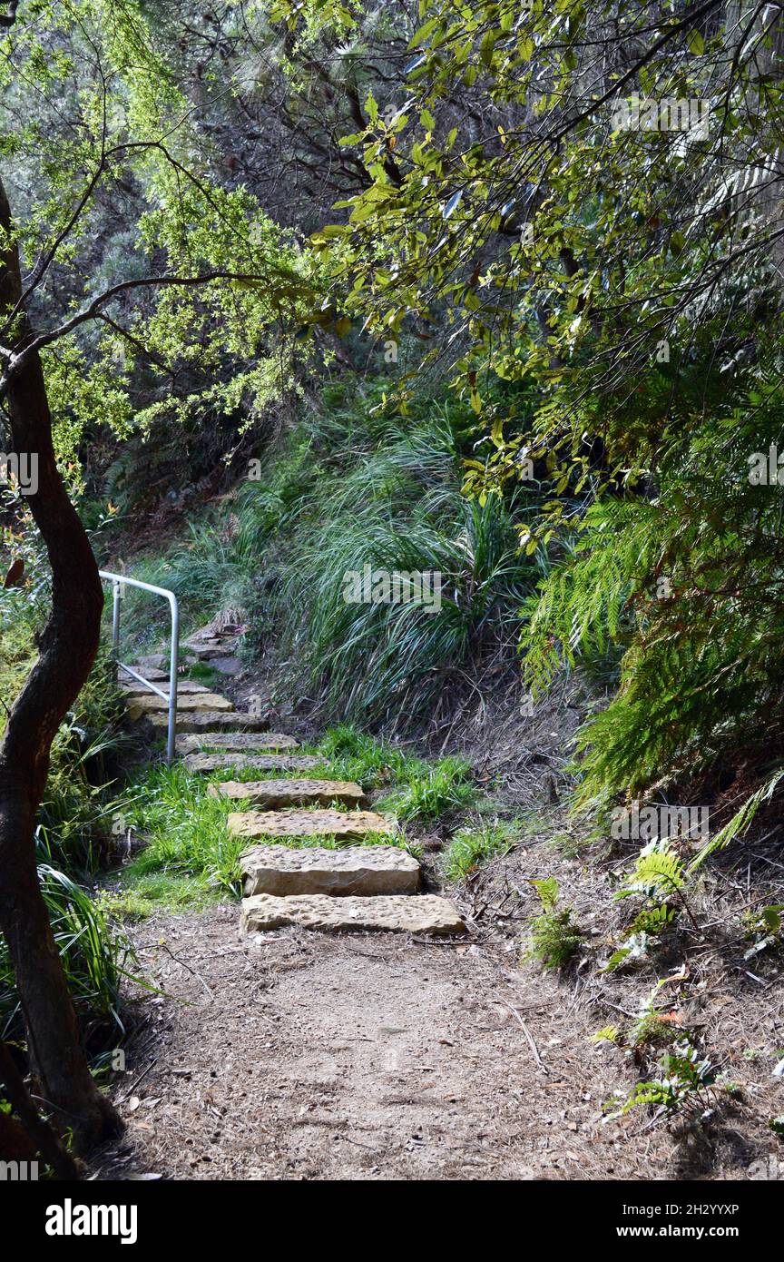 Stepping into nature hi-res stock photography and images - Alamy