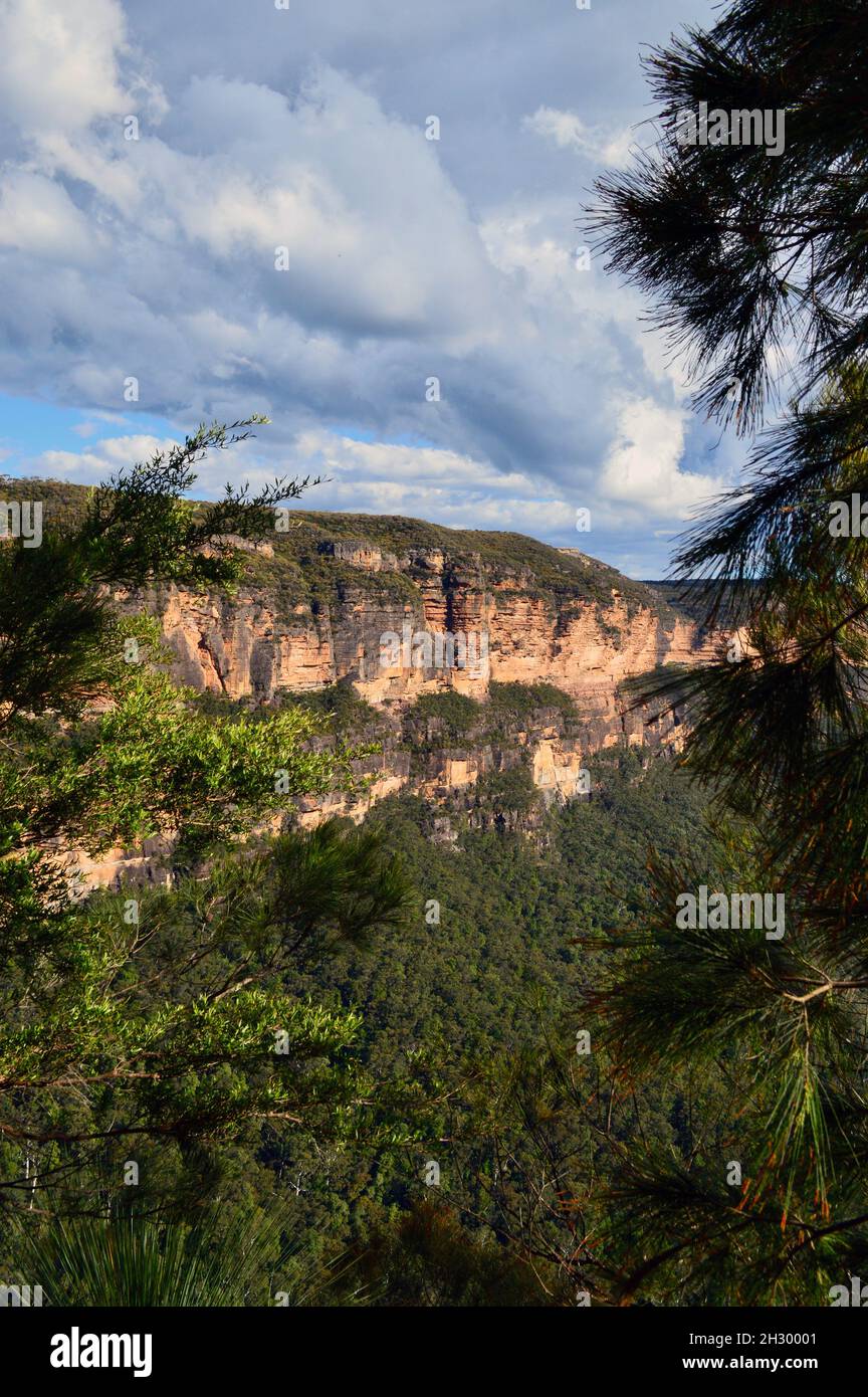 A view into the Jamison Valley at Wentworth Falls Stock Photo - Alamy