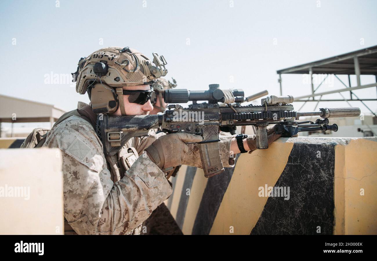 Terry fleet hi-res stock photography and images - Alamy