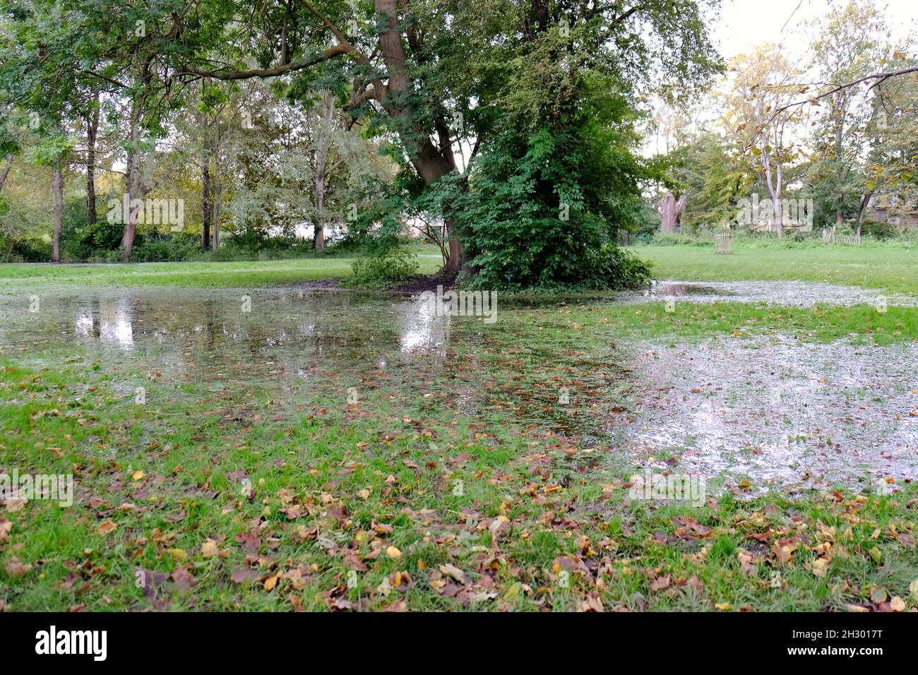 Results of heavy rain hi-res stock photography and images - Alamy
