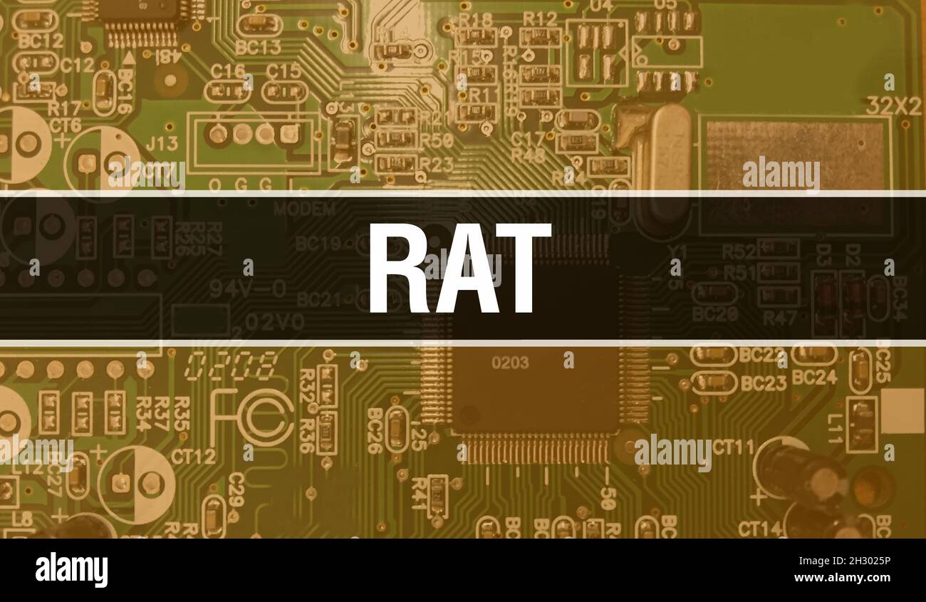 RAT with Electronic Computer Hardware technology background. Abstract ...