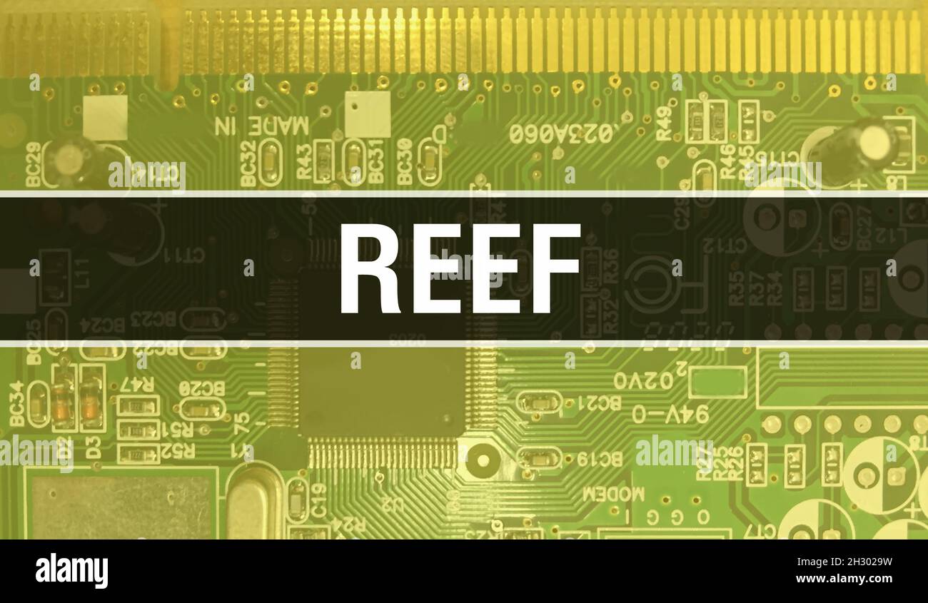 REEF concept with Computer motherboard. REEF text written on Technology ...