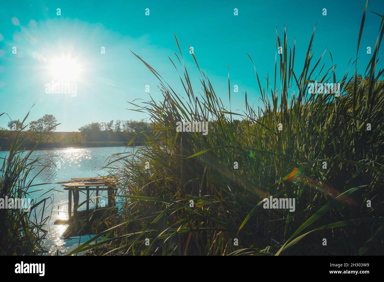 Small pond pier hi-res stock photography and images - Alamy