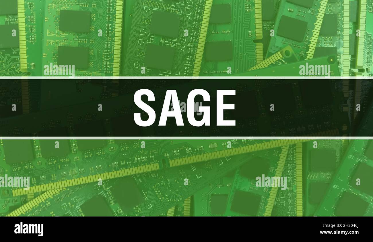 SAGE with Electronic Computer Hardware technology background. Abstract ...