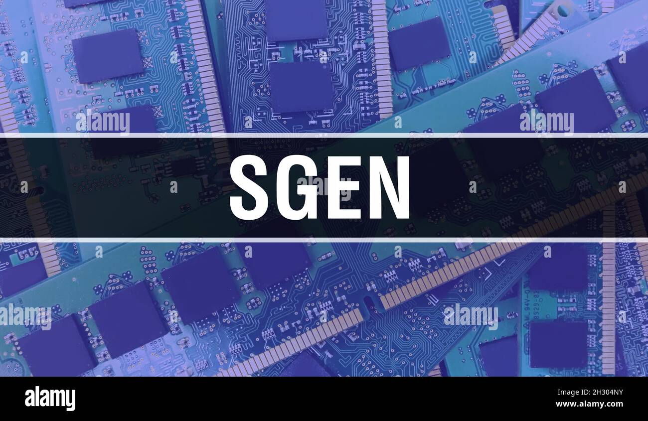 SGEN with Electronic Computer Hardware technology background. Abstract ...