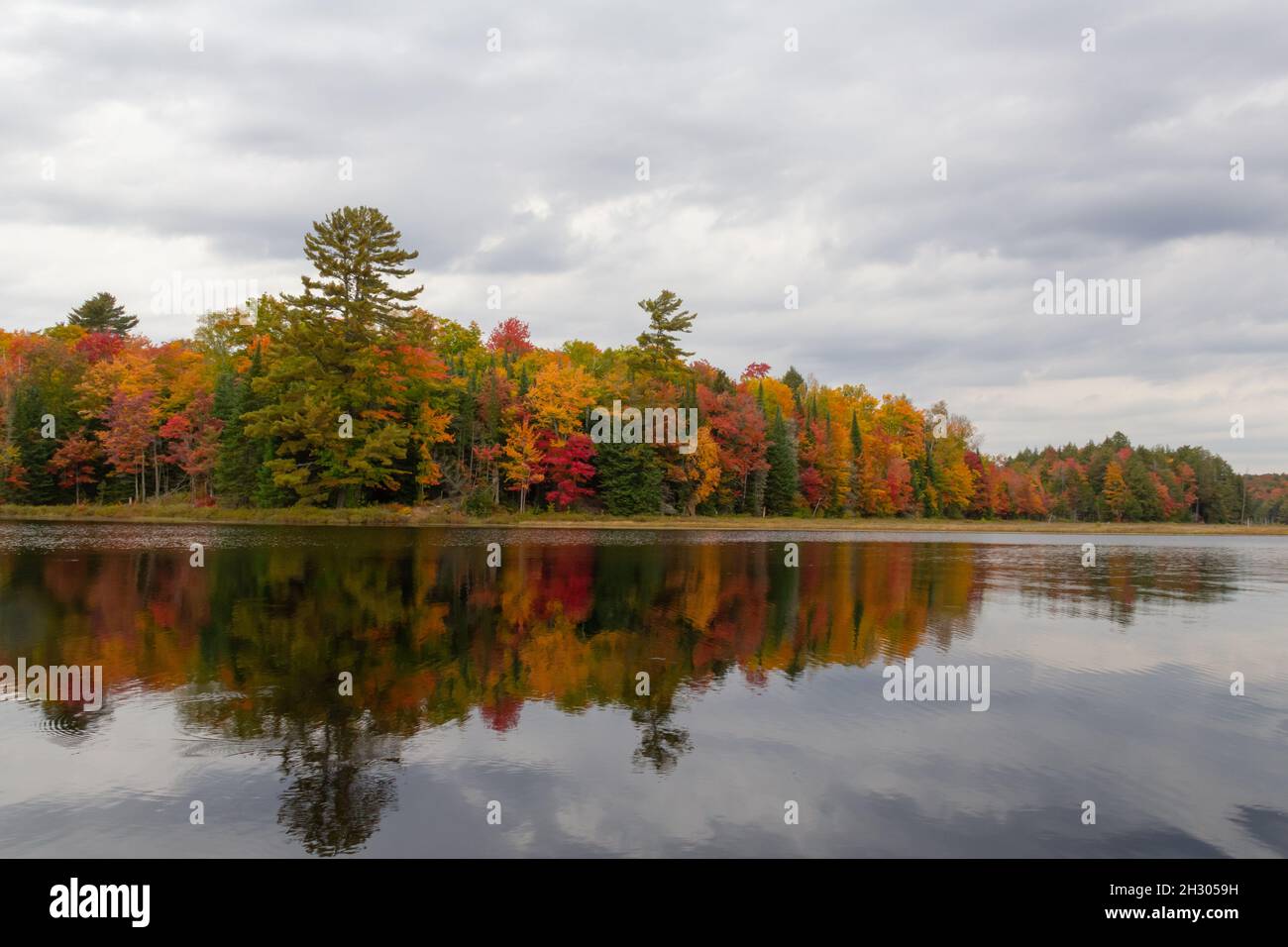 Fall Colours Landscape, Scenic Background Stock Photo - Alamy