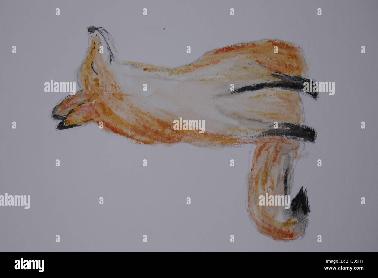 Sly fox sitting with eyes closed and grinning illustration Stock Photo ...