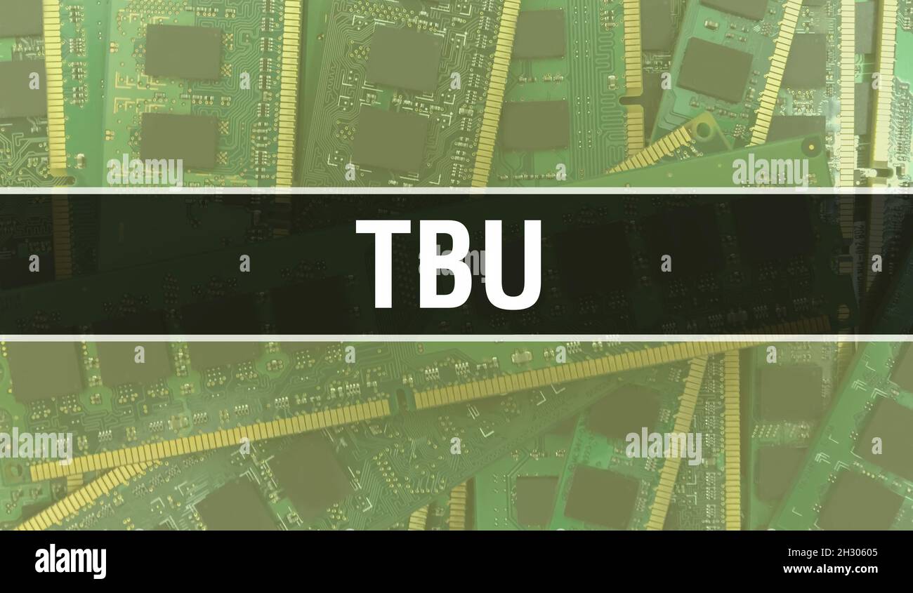 TBU with Electronic Computer Hardware technology background. Abstract ...