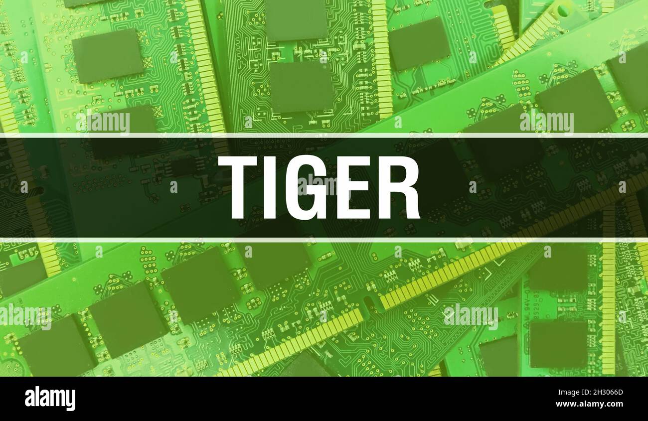 Tiger text written on Circuit Board Electronic abstract technology ...