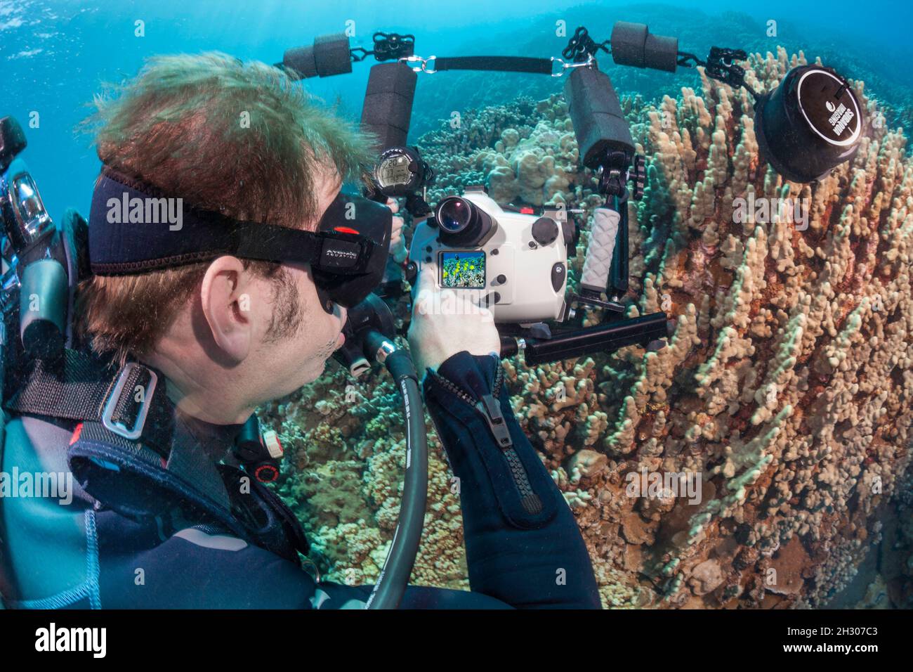 A diver (MR) reviews his image on the back of his digital SLR camera in ...