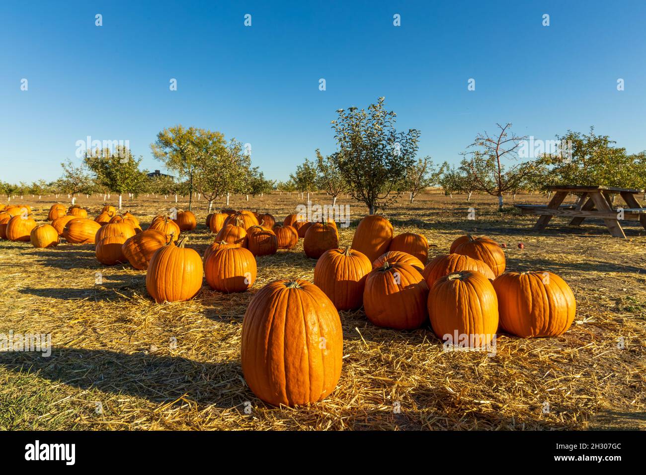 Colorado tradition hi-res stock photography and images - Alamy