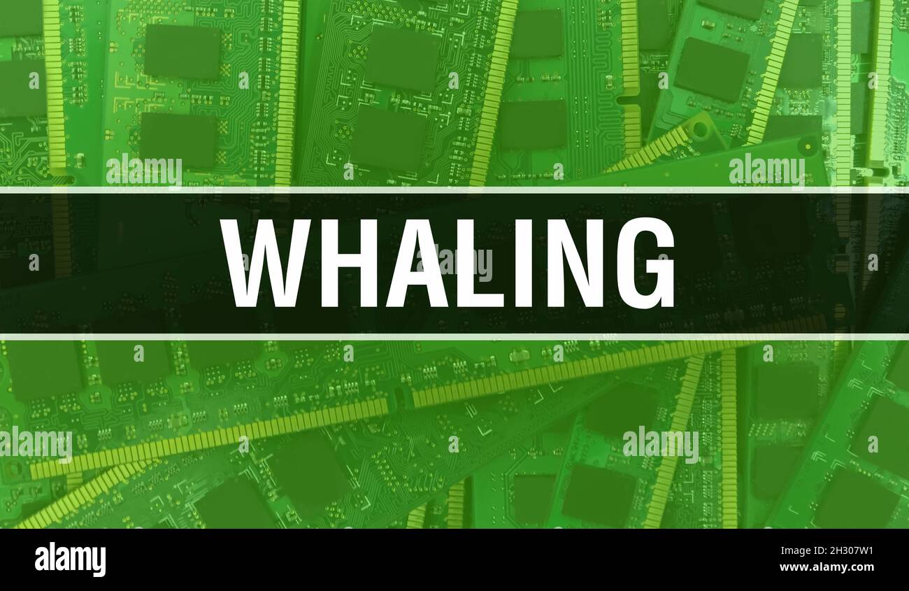 Whaling with Technology Motherboard Digital. Whaling and Computer ...
