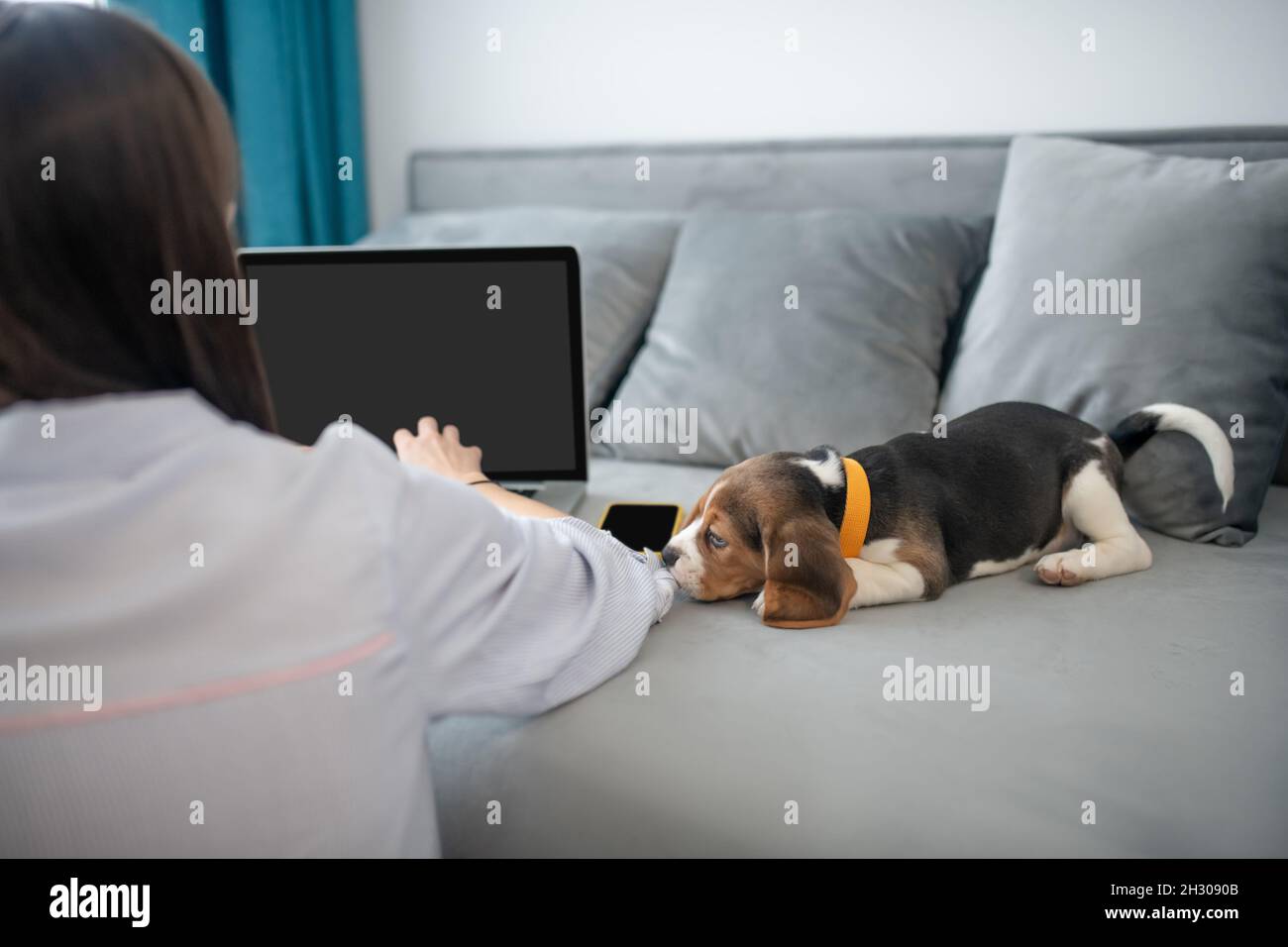 Call canter operator hi-res stock photography and images - Alamy
