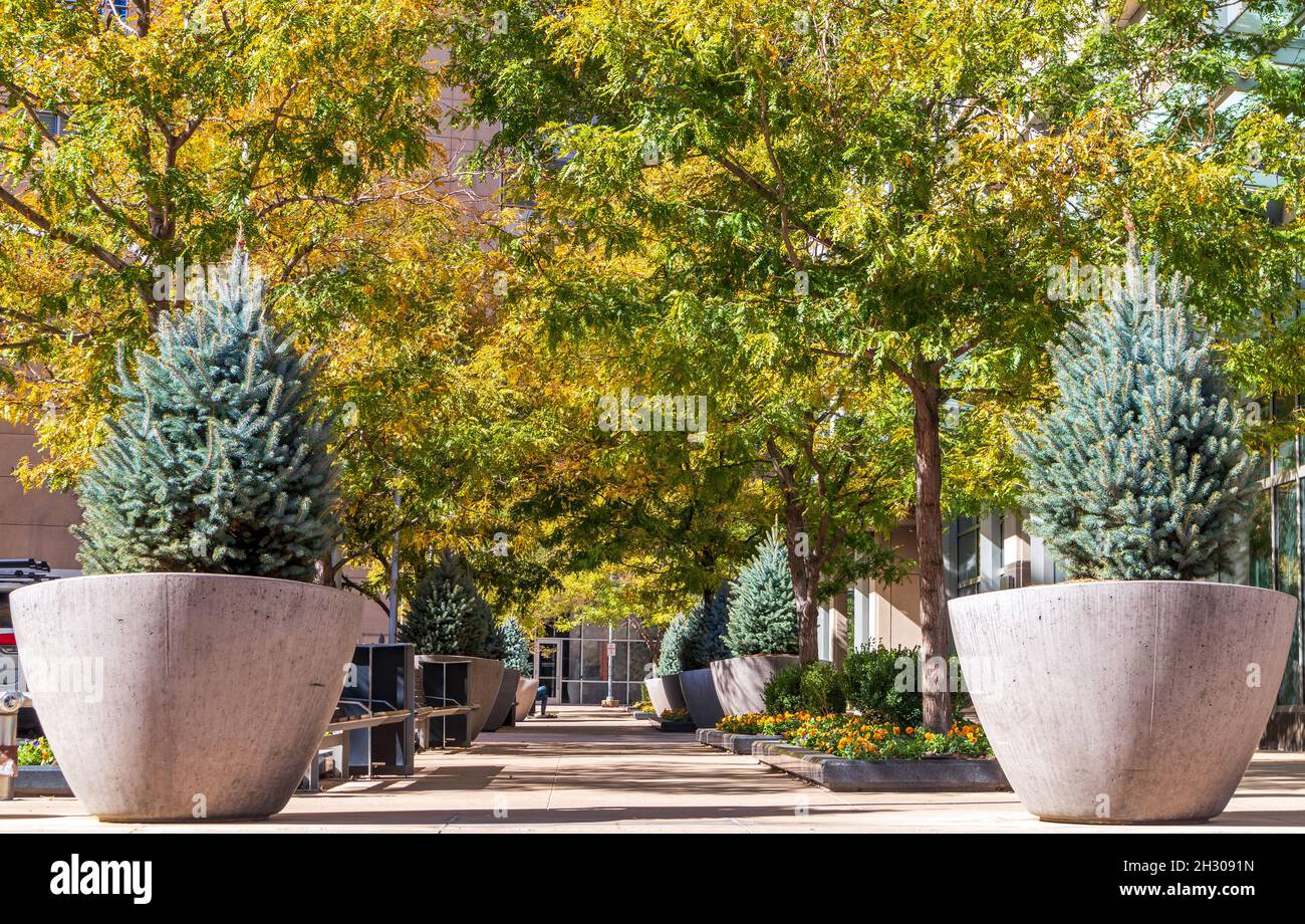 Beautiful park in front hi-res stock photography and images - Alamy