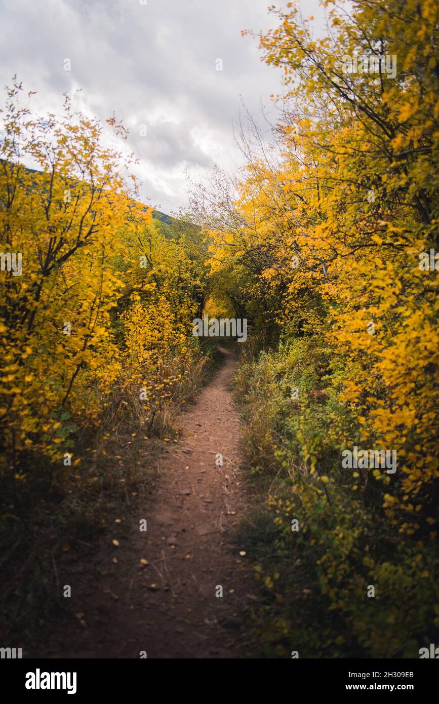 A trail in the mountains during fall Stock Photo - Alamy