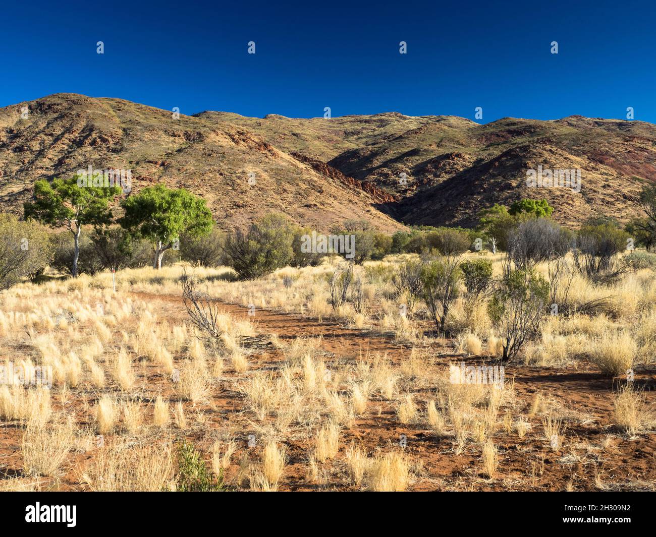 Access track to the base of the Northern ridges of Mt Zeil ...