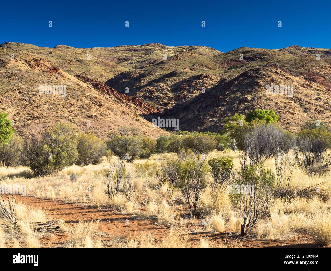 Access track to the base of the Northern ridges of Mt Zeil ...