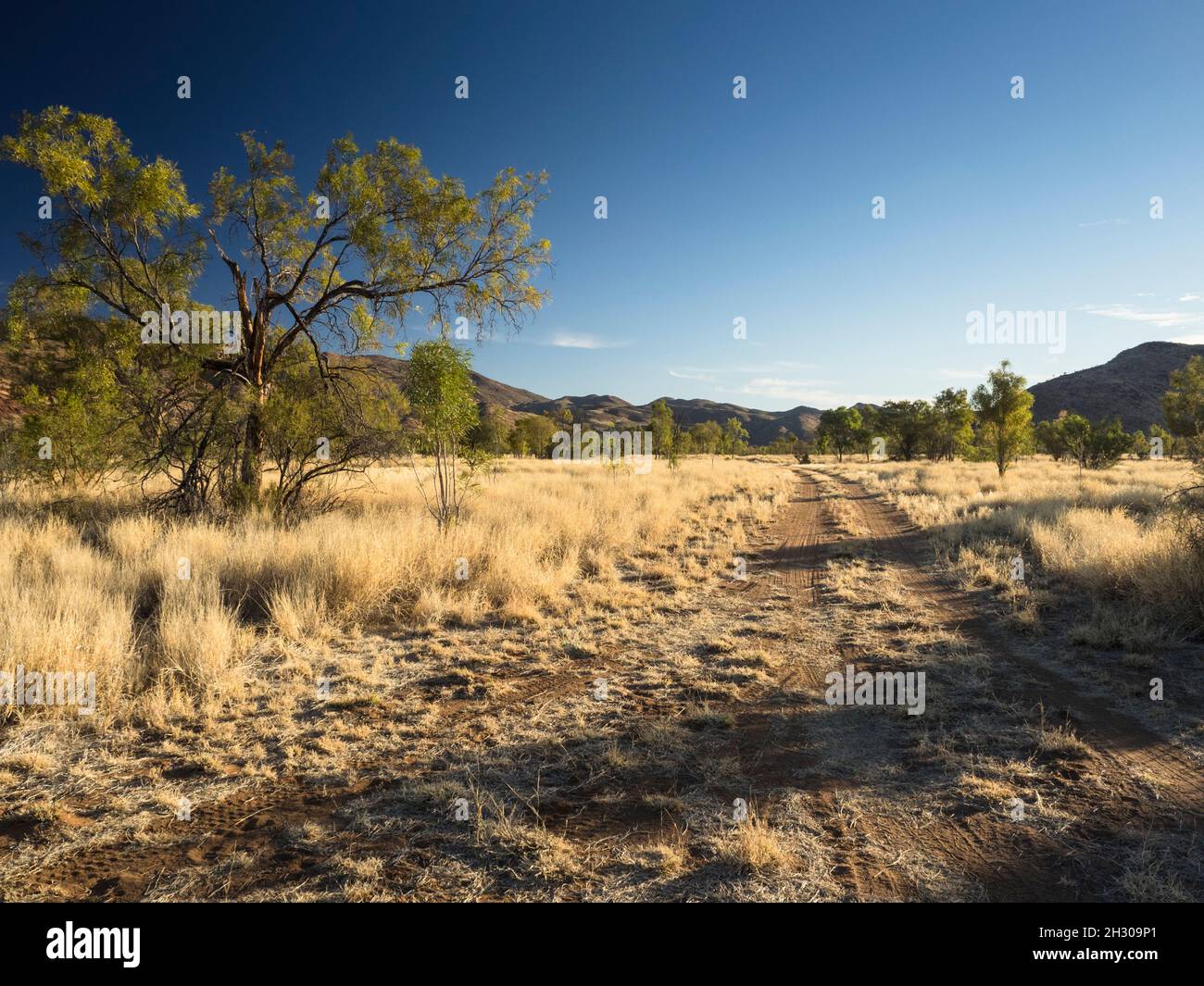 Mt zeil wilderness camp hi-res stock photography and images - Alamy
