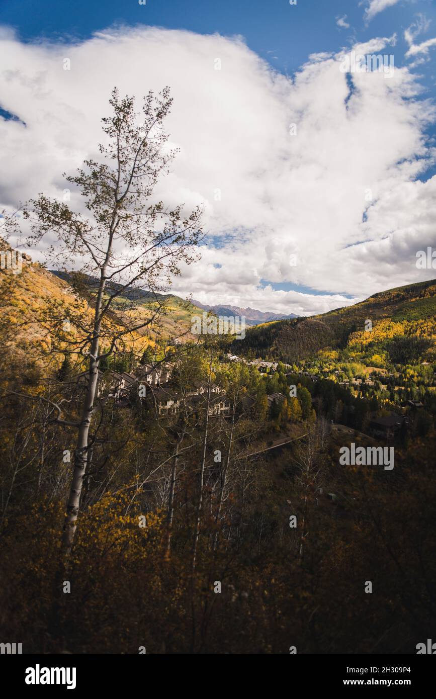 Fall foliage in Vail, Colorado Stock Photo - Alamy