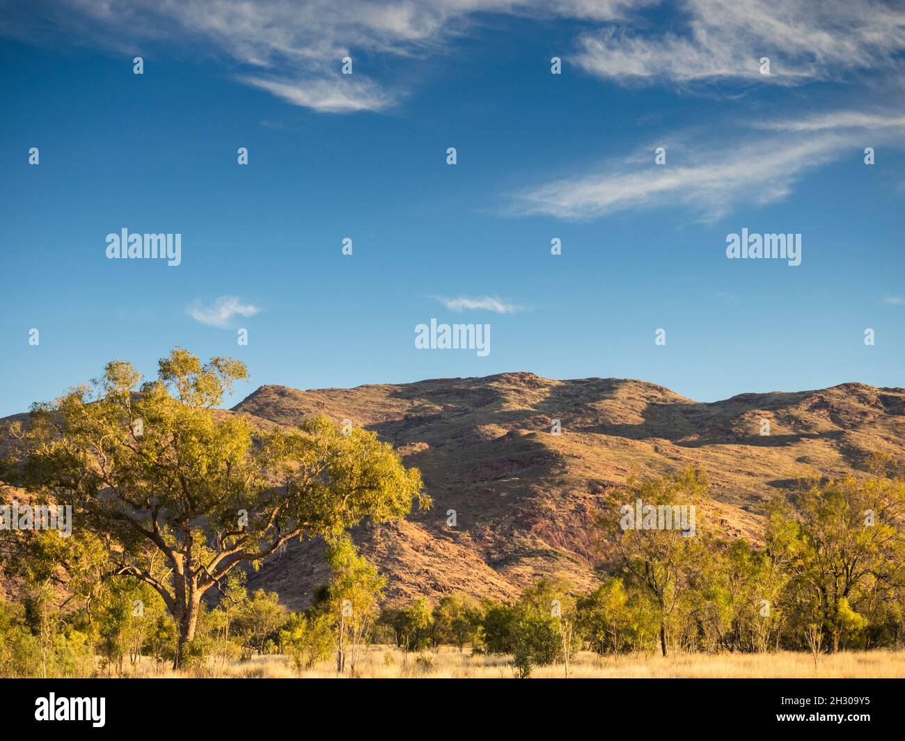 Northern ridges of Mt Zeil / Urlatherrke, West Macdonnell Ranges ...