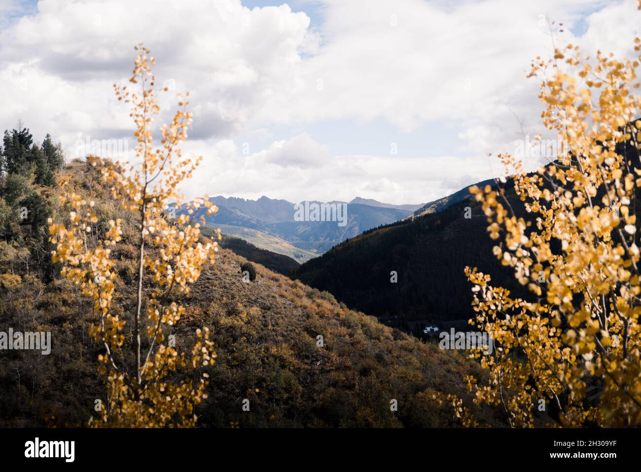Fall foliage in Vail, Colorado Stock Photo - Alamy