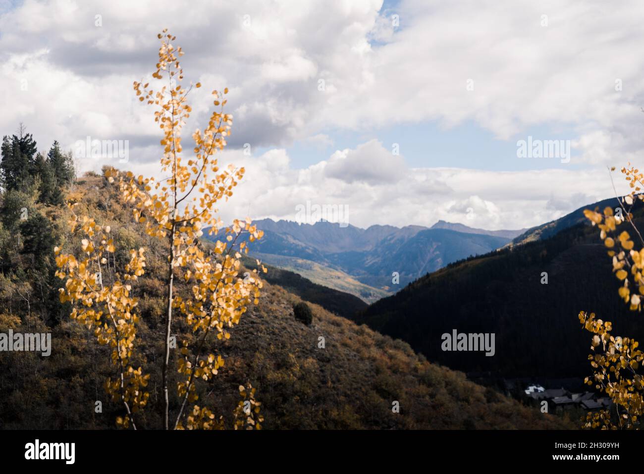 Fall foliage in Vail, Colorado Stock Photo - Alamy