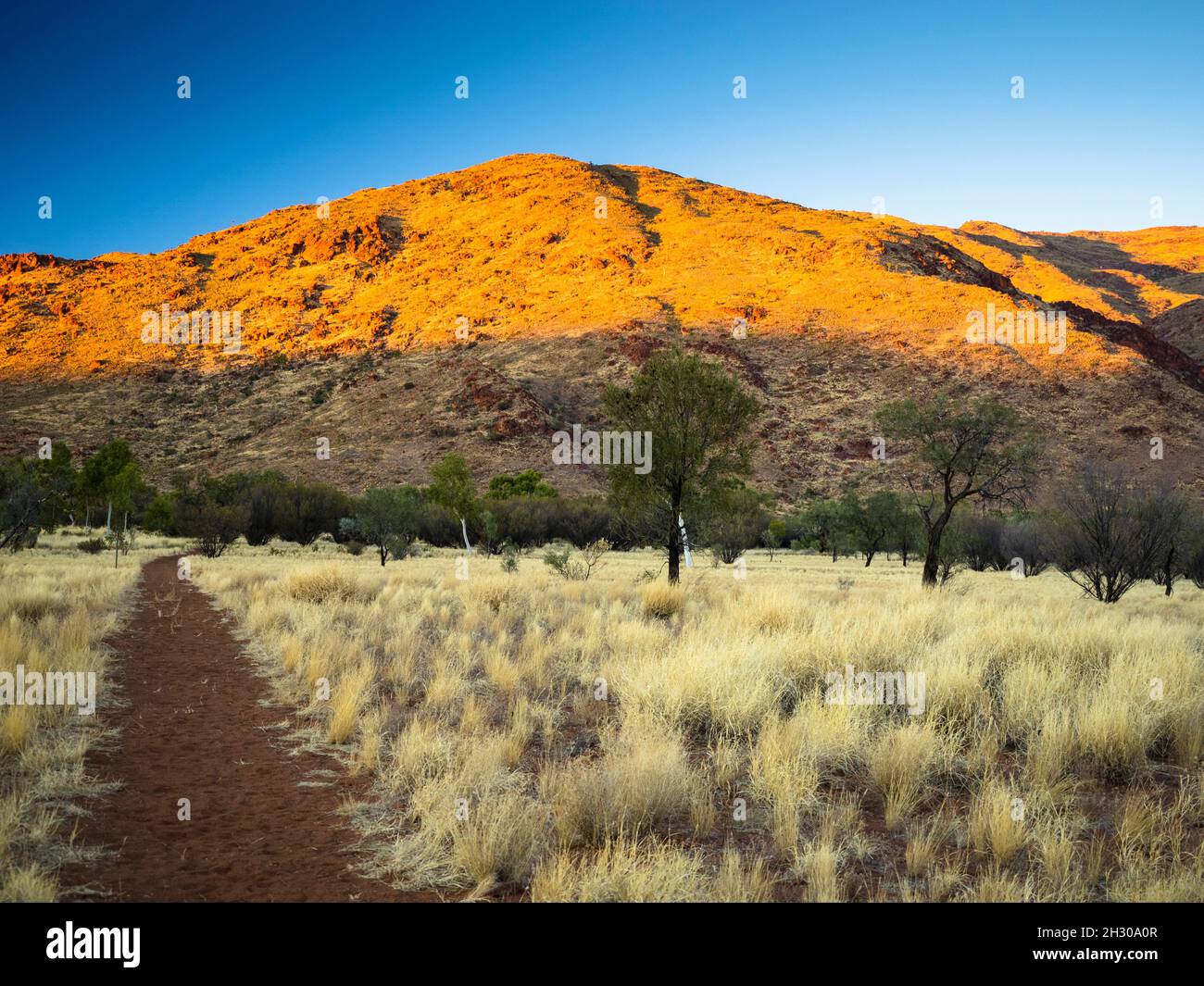 Mt zeil hi-res stock photography and images - Alamy