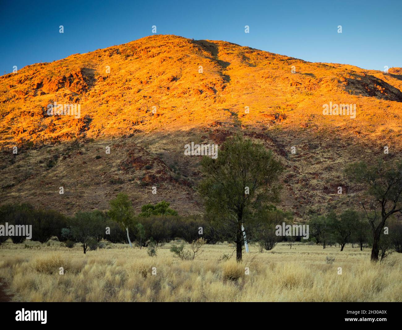 Sunrise on the Northern ridges of Mt Zeil / Urlatherrke, West ...