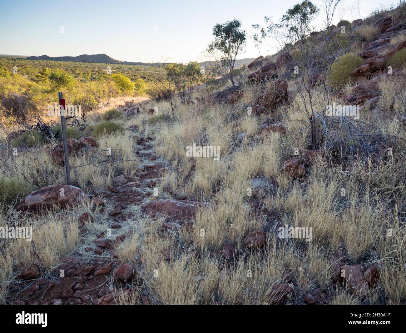 Track marker at the bottom of the NE ridge of Mt Zeil / Urlatherrke ...