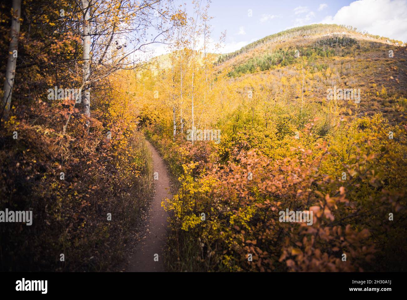 A trail in the mountains during fall Stock Photo - Alamy