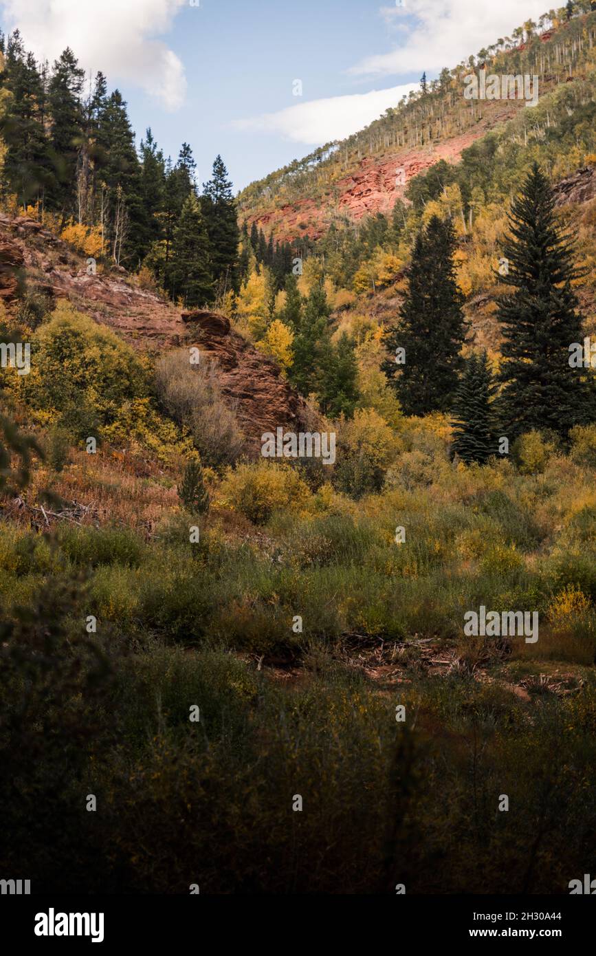 Fall foliage in Vail, Colorado Stock Photo - Alamy