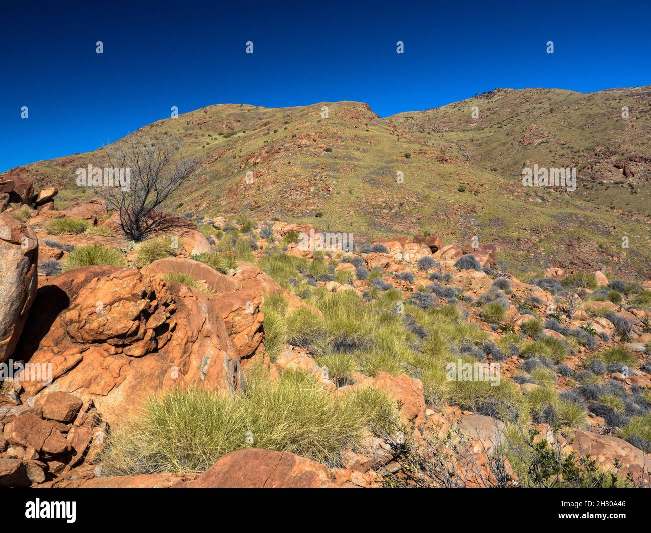 Mount zeil hi-res stock photography and images - Alamy
