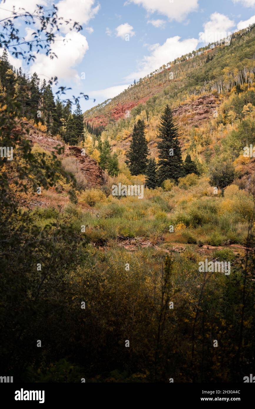 Fall foliage in Vail, Colorado Stock Photo - Alamy