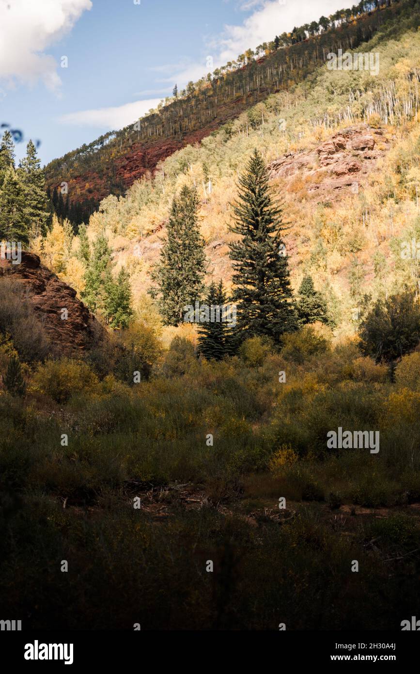 Fall foliage in Vail, Colorado Stock Photo - Alamy