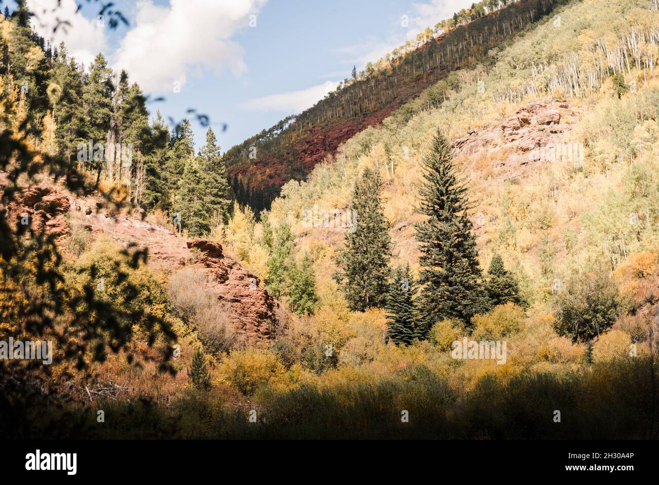 Fall foliage in Vail, Colorado Stock Photo - Alamy