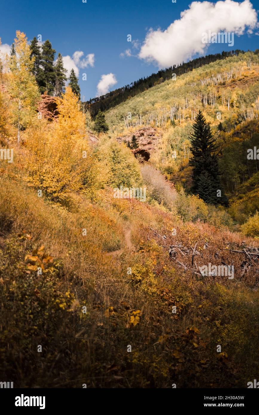 Fall foliage in Vail, Colorado Stock Photo - Alamy