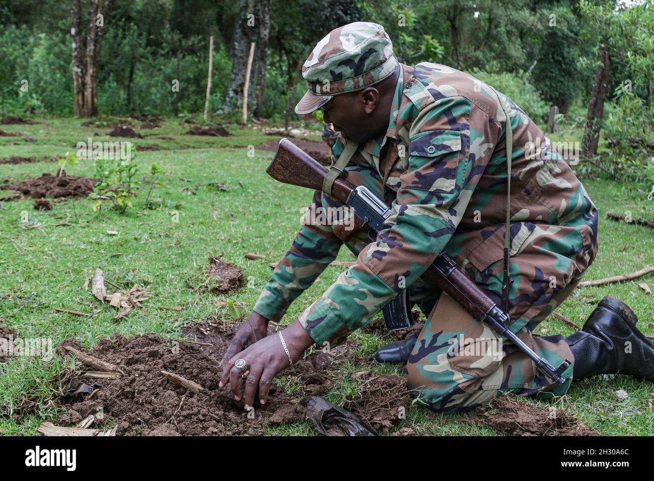 Nakuru, Kenya, 23/10/2021, An armed Kenya forest service ranger plants ...