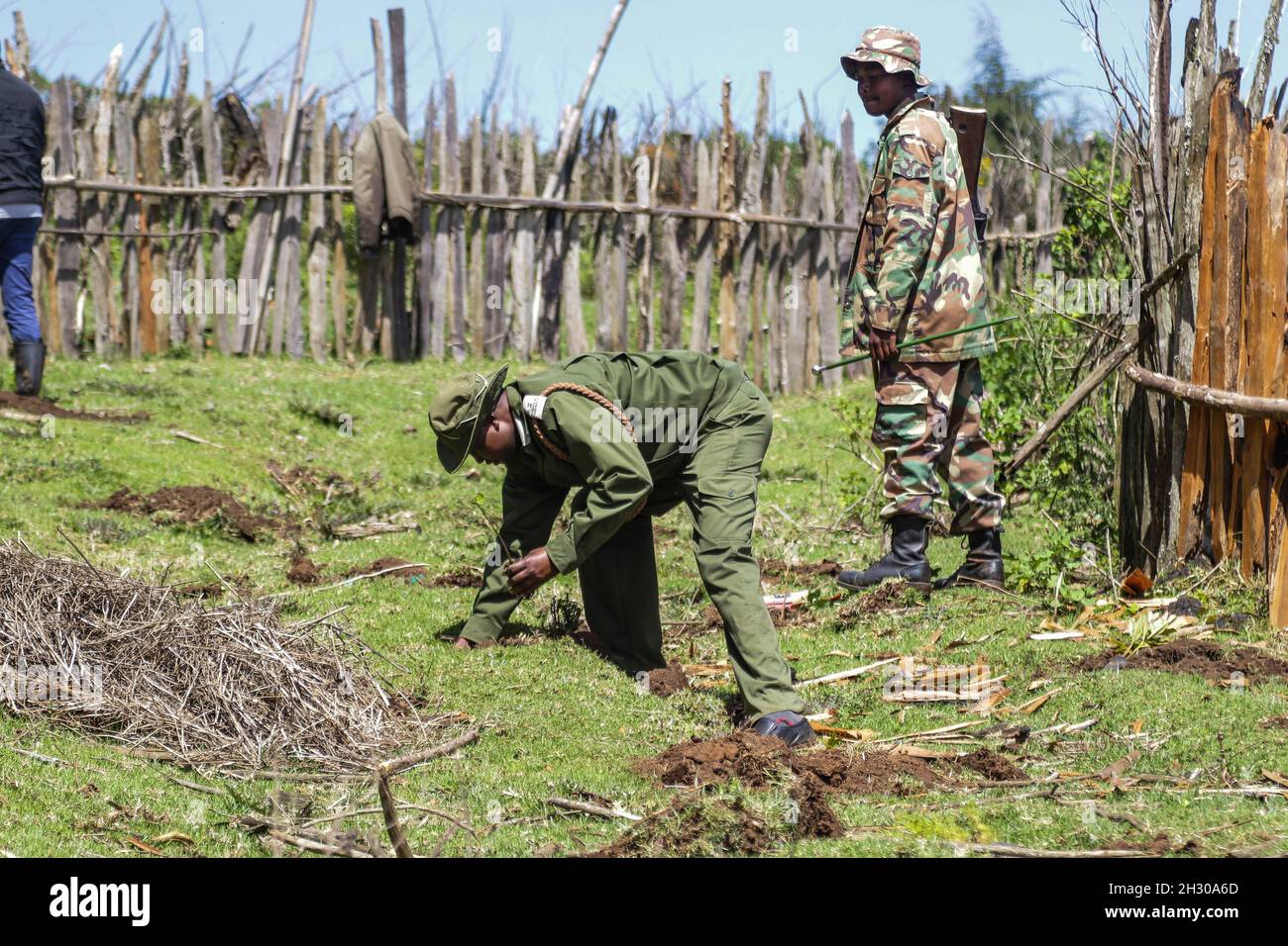 Nakuru, Kenya, 23/10/2021, An armed Kenya forest service ranger looks ...