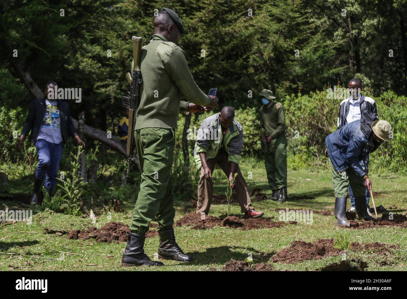 Nakuru, Kenya, 23/10/2021, A Kenya forest service ranger uses his phone ...