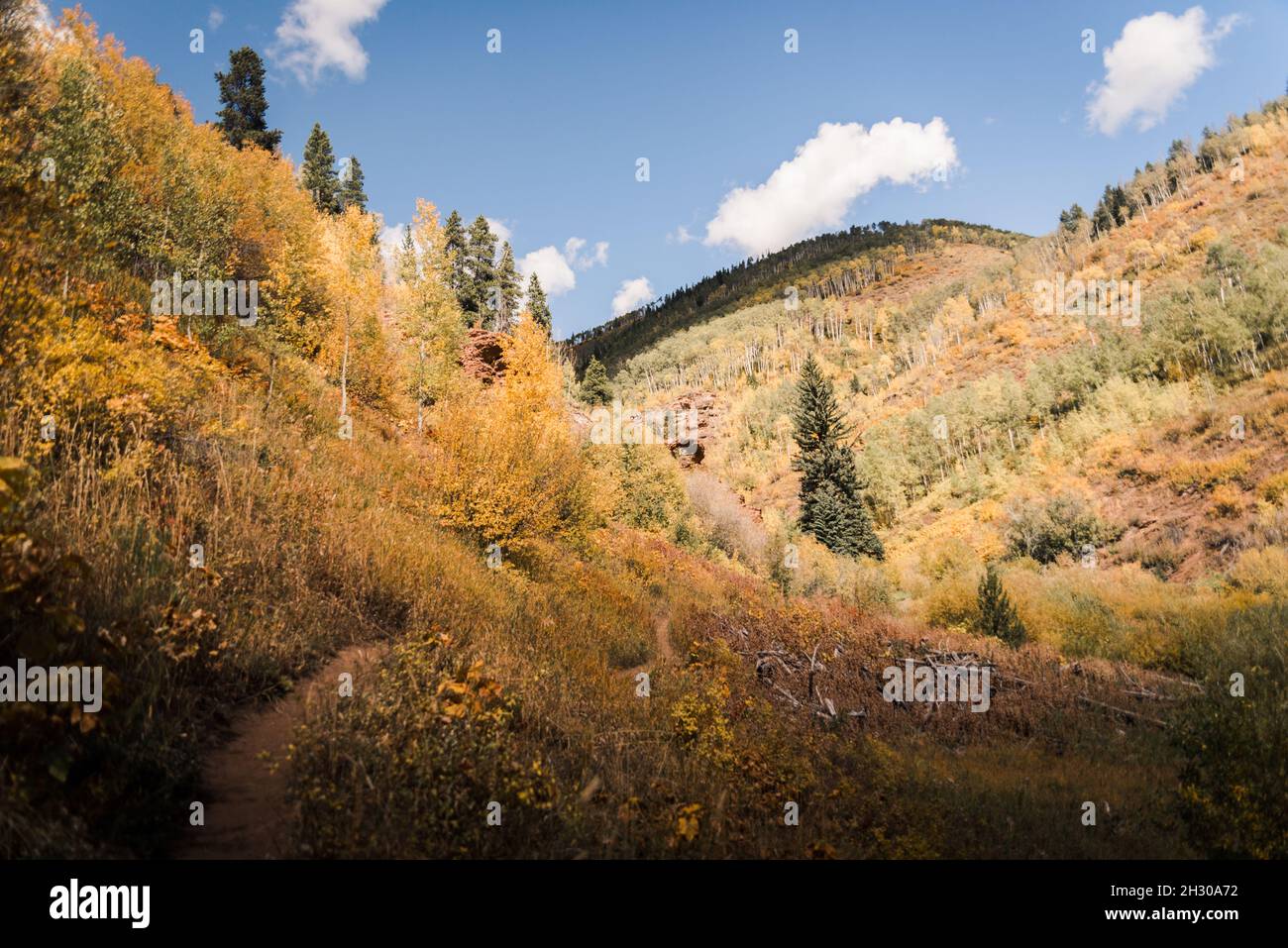 Fall foliage in Vail, Colorado Stock Photo - Alamy