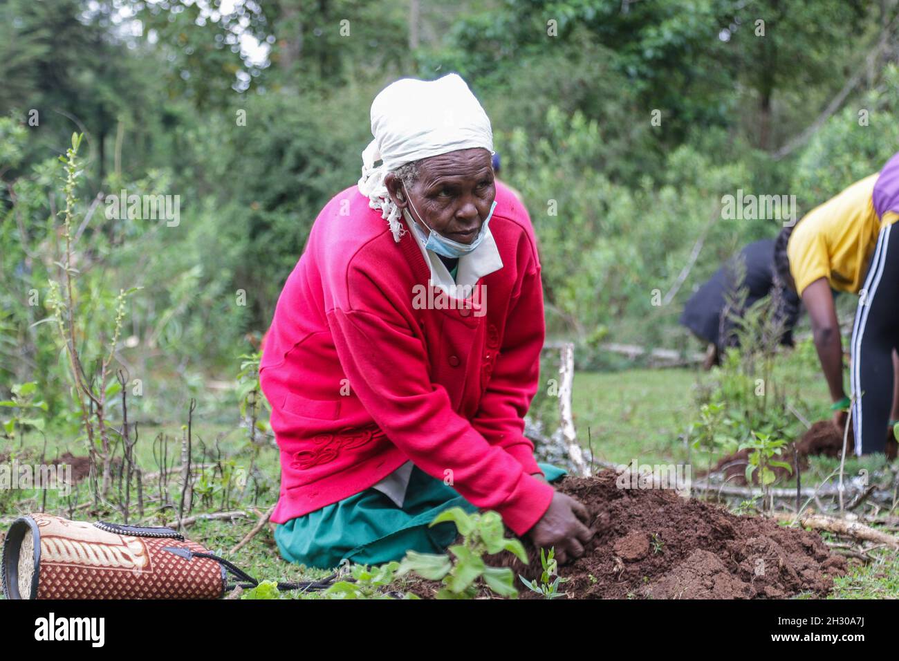 Kenya woman plants tree hi-res stock photography and images - Alamy