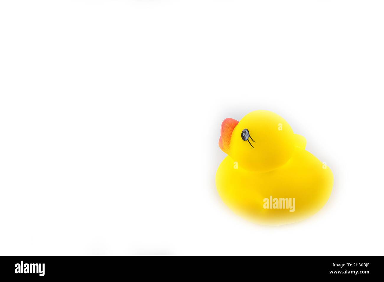 Bathing duckling Cut Out Stock Images & Pictures - Alamy