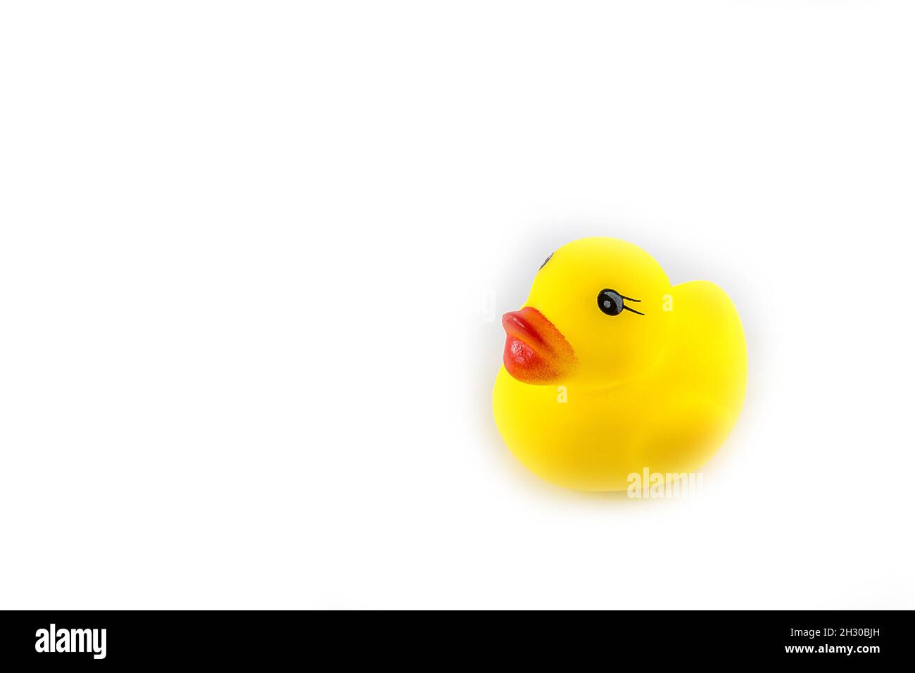 Bathing duckling Cut Out Stock Images & Pictures - Alamy