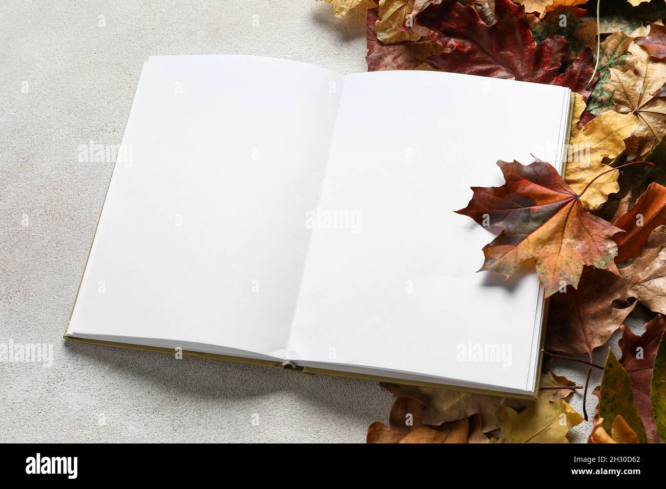 Blank open book and autumn leaves on light background Stock Photo - Alamy