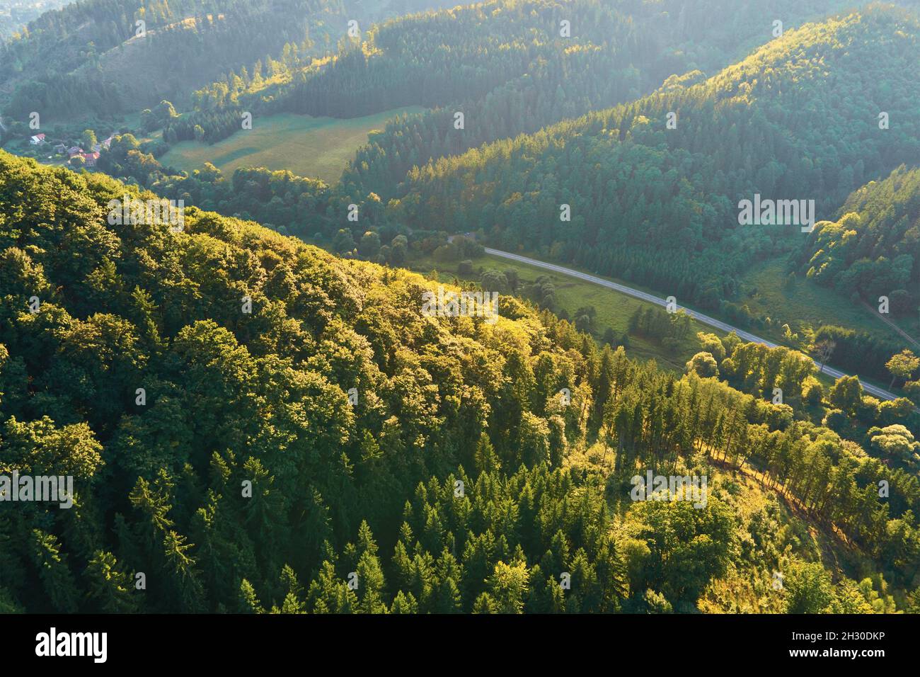 Sunrise over forest hi-res stock photography and images - Alamy
