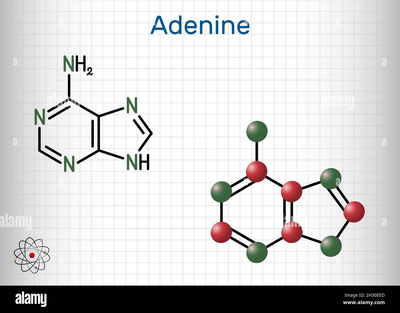 Adenine, Ade molecule. It is purine nucleobase, fundamental unit of the ...