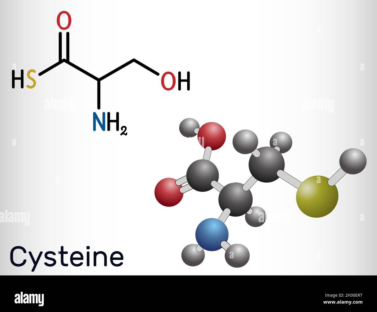 Cysteine, Cys, proteinogenic amino acid molecule. Structural chemical ...